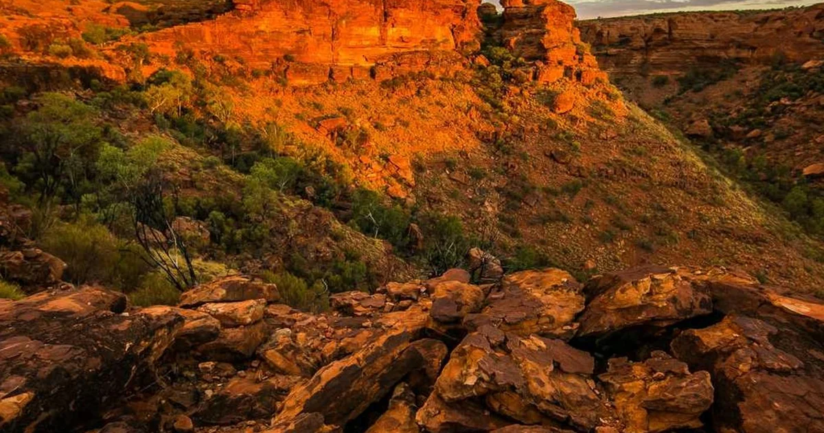 Palabras clave en Python: or - Python Scouts